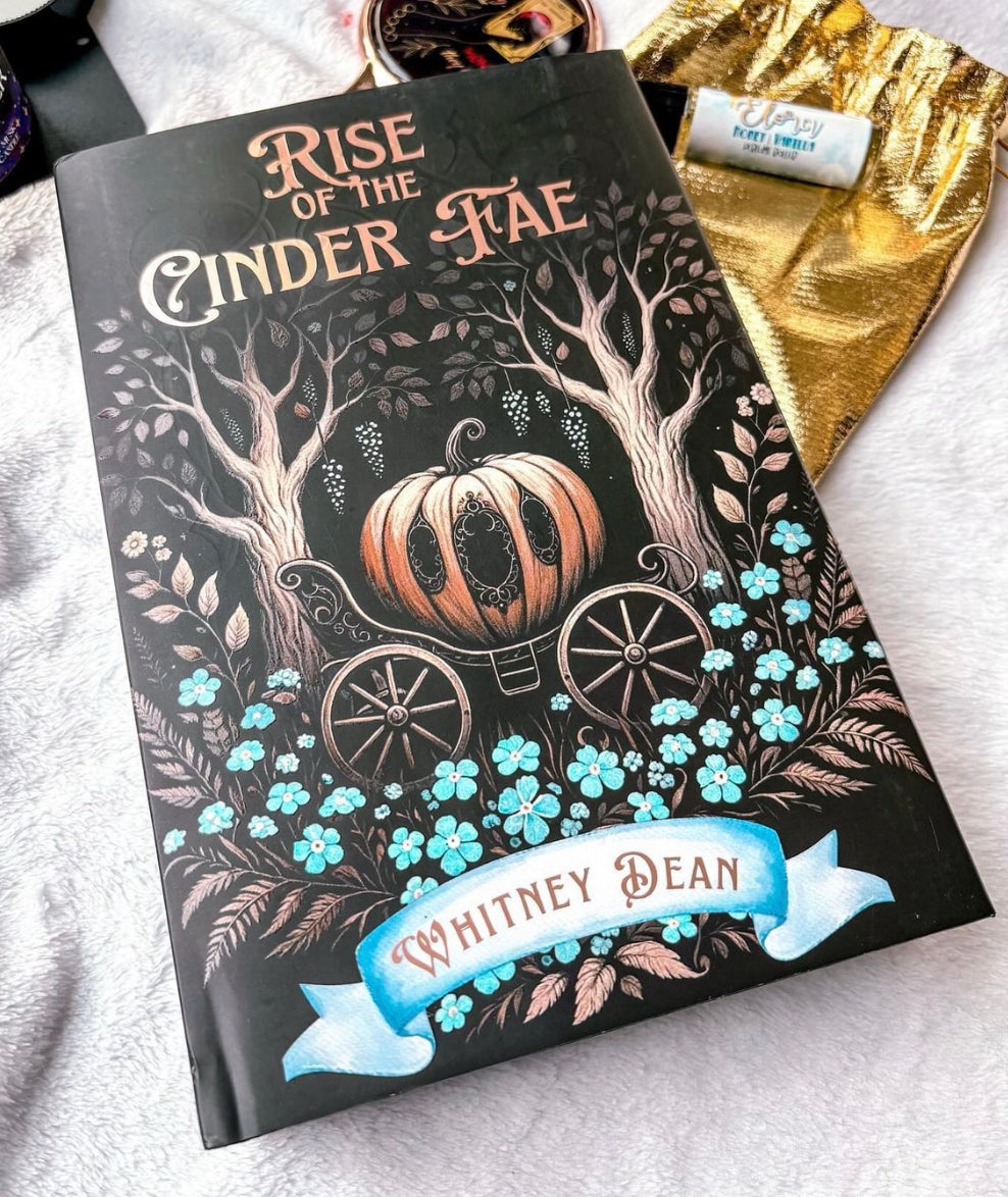 Rise of the Cinder Fae by Whitney Dean - Reprint | Unplugged Book Box